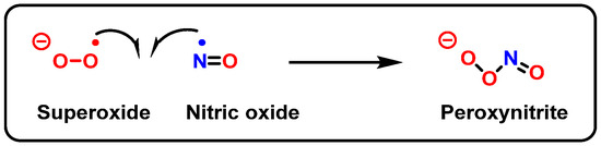Chemical Insights into Oxidative and Nitrative Modifications of DNA