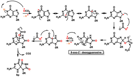 Chemical Insights into Oxidative and Nitrative Modifications of DNA