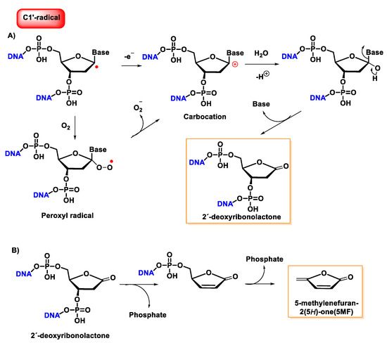 IJMS | Free Full-Text | Chemical Insights into Oxidative and Nitrative ...
