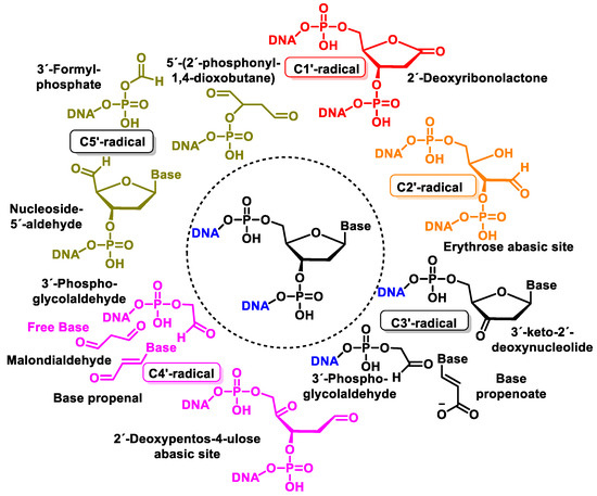 IJMS | Free Full-Text | Chemical Insights into Oxidative and Nitrative ...