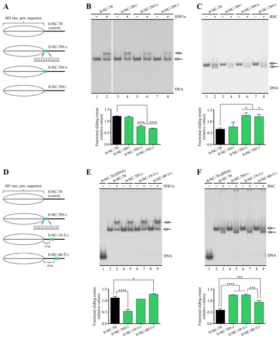 Poly(dA:dT) Tracts Differentially Modulate Nucleosome Remodeling ...