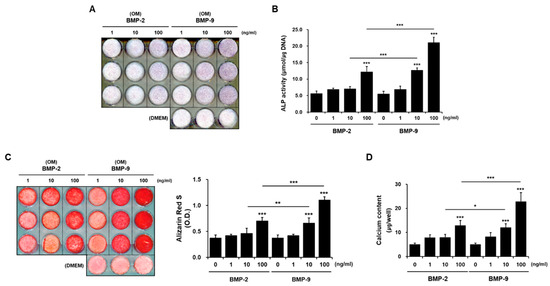 BMP-9 Improves the Osteogenic Differentiation Ability over BMP-2 ...