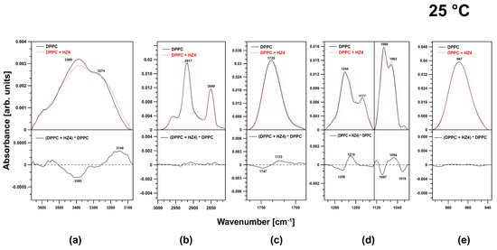 Investigation of the Membrane Localization and Interaction of Selected ...
