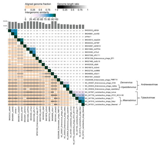Genomes of a Novel Group of Phages That Use Alternative Genetic Code ...