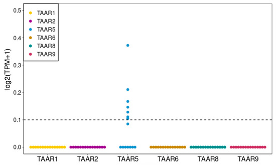 Expression Pattern of Trace Amine-Associated Receptors during ...