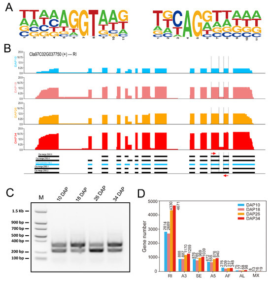 Comprehensive Profiling of Alternative Splicing and Alternative ...