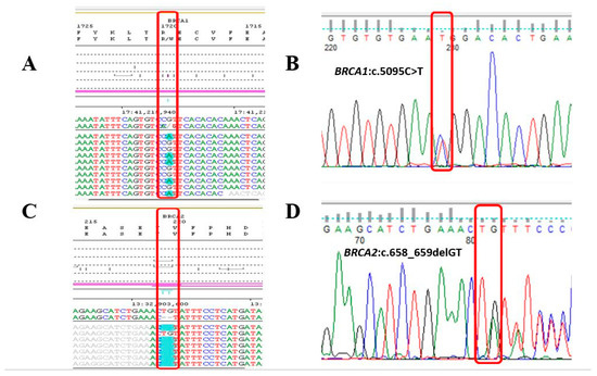 Double Heterozygosity for Rare Deleterious Variants in the BRCA1 and BRCA2 Genes in a Hungarian ...