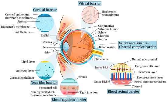 IJMS | Free Full-Text | Overview of Recent Advances in Nano-Based Ocular Drug Delivery