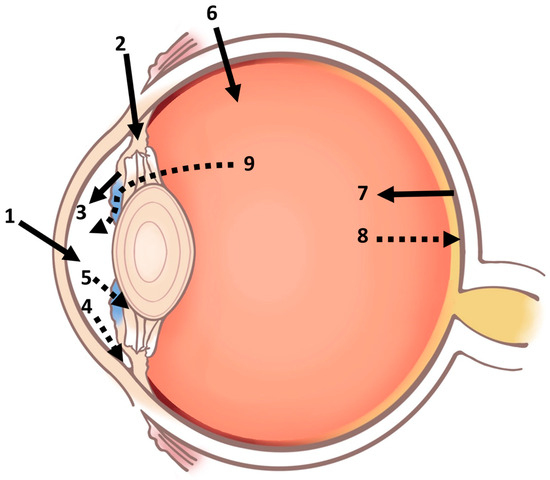 IJMS | Free Full-Text | Overview of Recent Advances in Nano-Based Ocular Drug Delivery