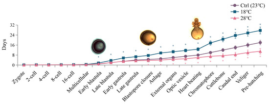 The Effect of Temperature on the Embryo Development of Cephalopod Sepiella japonica Suggests ...
