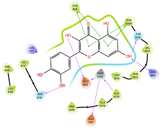 Inhibitory Effect of Quercetin on Oxidative Endogen Enzymes: A Focus on ...