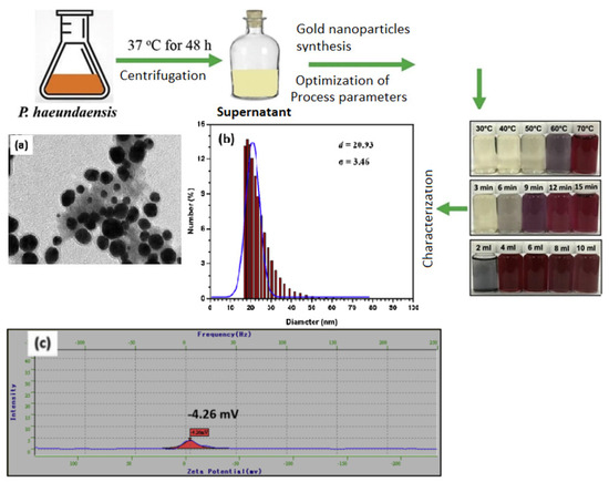 Green Synthesis of Metal and Metal Oxide Nanoparticles: A Review of the ...
