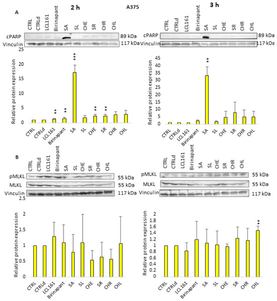 Quaternary Benzophenanthridine Alkaloids Act as Smac Mimetics and ...