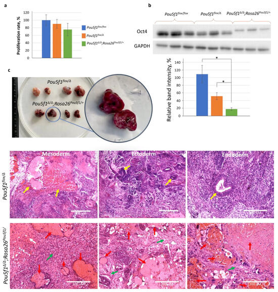 Regulatory Elements Outside Established Pou5f1 Gene Boundaries Are ...