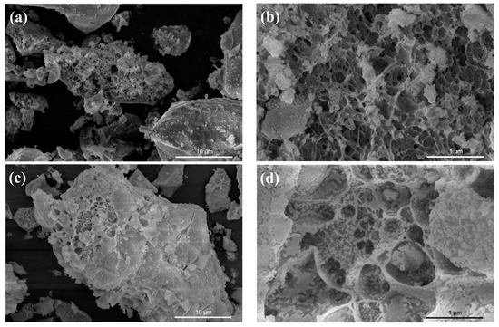 Investigation on the Structural and Photocatalytic Performance of ...