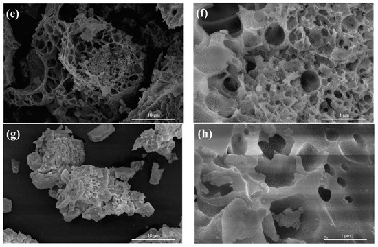 Investigation on the Structural and Photocatalytic Performance of ...