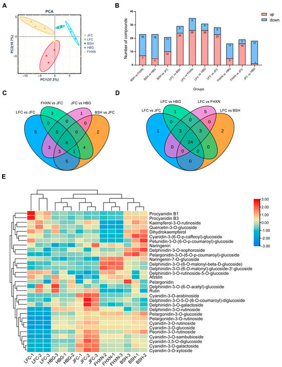 Integrated Transcriptomic and Metabolomic Analysis Reveal the Underlying Mechanism of ...
