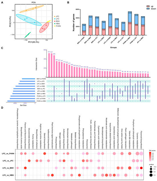 Integrated Transcriptomic and Metabolomic Analysis Reveal the Underlying Mechanism of ...
