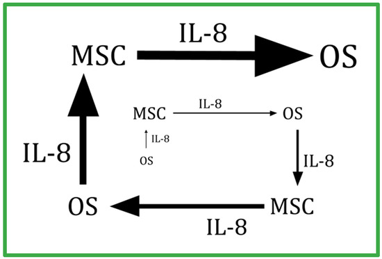 IJMS | Free Full-Text | The OSR9 Regimen: A New Augmentation Strategy ...