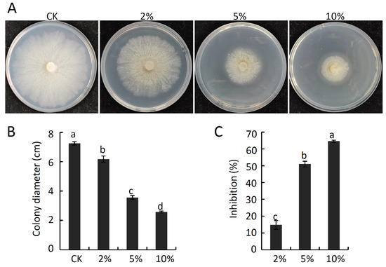Exploration of the Biocontrol Activity of Bacillus atrophaeus Strain ...