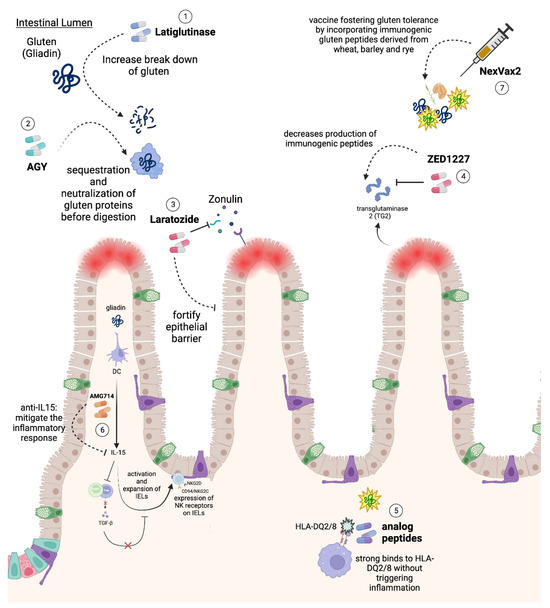 Unraveling the Immunopathological Landscape of Celiac Disease: A ...