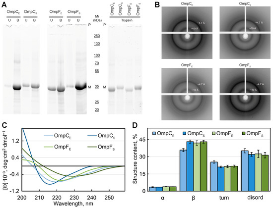 OmpC and OmpF Outer Membrane Proteins of Escherichia coli and ...
