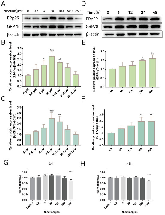 IJMS | Free Full-Text | ERp29 Attenuates Nicotine-Induced Endoplasmic ...