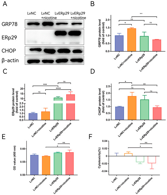 IJMS | Free Full-Text | ERp29 Attenuates Nicotine-Induced Endoplasmic ...