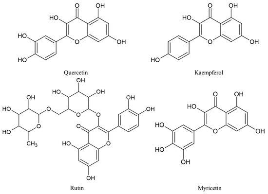 Nature’s Own Pharmacy: Mushroom-Based Chemical Scaffolds and Their ...