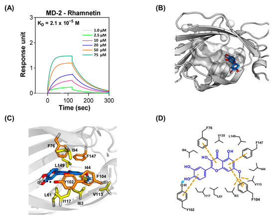 Protective Effects of Rhamnetin in Carbapenem-Resistant Acinetobacter ...