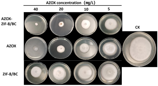 Preparation of Azoxystrobin-Zinc Metal–Organic Framework/Biomass ...