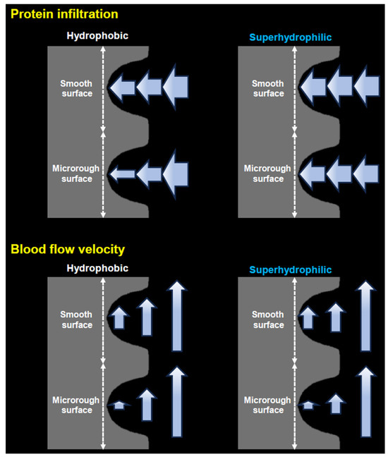 Synergistic Enhancement of Protein Recruitment and Retention via ...