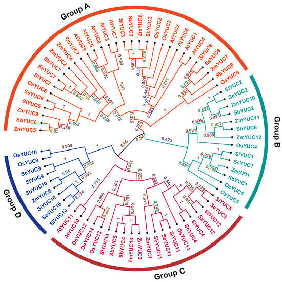 Genome-Wide Characterization and Haplotypic Variation Analysis of the ...