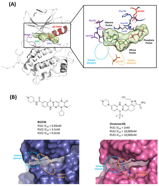 Leveraging the Fragment Molecular Orbital Method to Explore the PLK1 ...