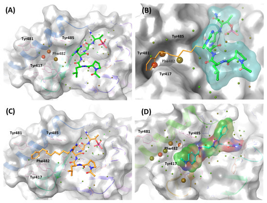 Leveraging the Fragment Molecular Orbital Method to Explore the PLK1 ...