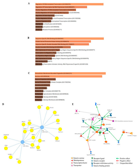 miRNAs in the Box: Potential Diagnostic Role for Extracellular Vesicle ...