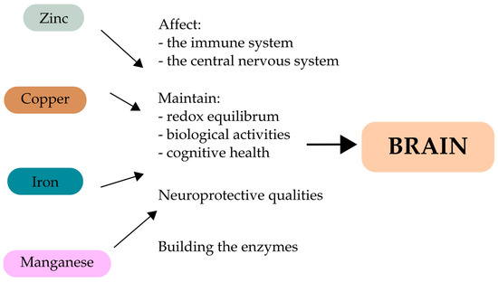 Common and Trace Metals in Alzheimer’s and Parkinson’s Diseases