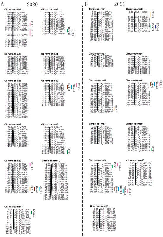 Molecular Mapping of Putative Genomic Regions Controlling Fruit and ...