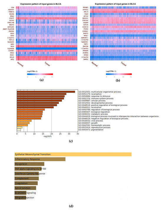 Gelsolin, an Actin-Binding Protein: Bioinformatic Analysis and ...
