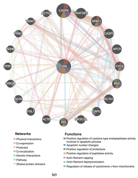 Gelsolin, an Actin-Binding Protein: Bioinformatic Analysis and ...