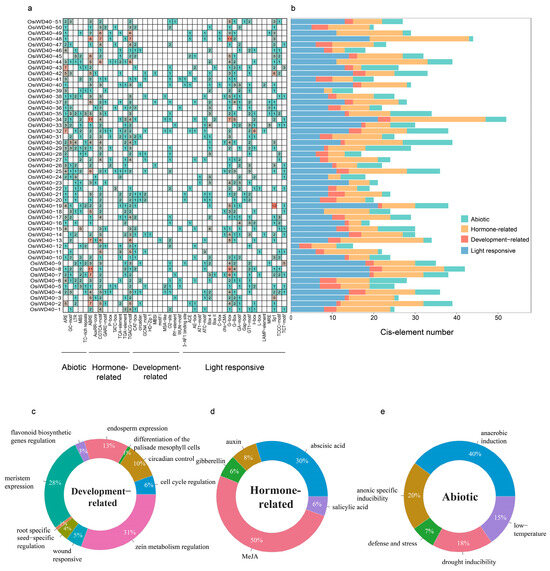 IJMS | Free Full-Text | Genome-Wide Identification, Evolution, and Expression Analysis of the ...