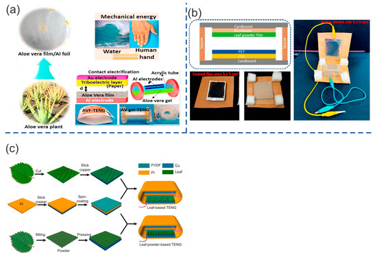Lignocellulosic Biomass for the Fabrication of Triboelectric Nano ...