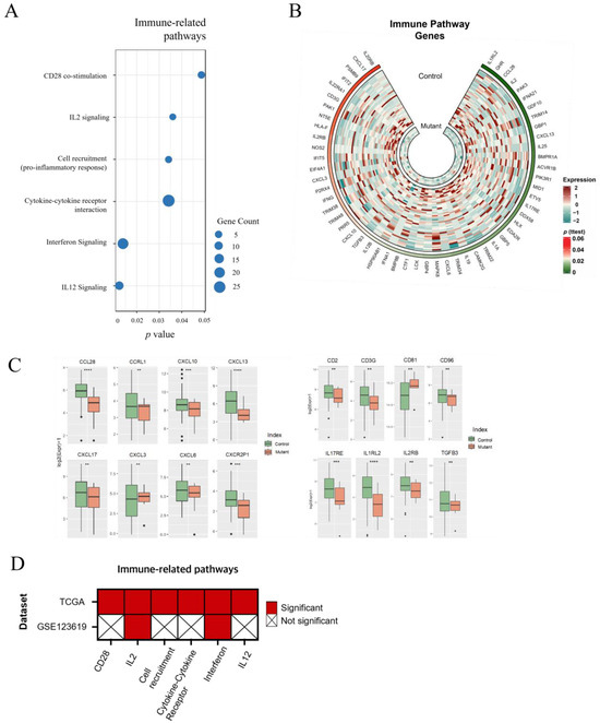 Unveiling the Molecular Landscape of FOXA1 Mutant Prostate Cancer ...