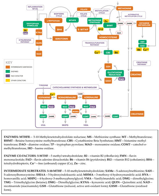 Molecular Mechanism Biomarkers Predict Diagnosis in Schizophrenia and ...