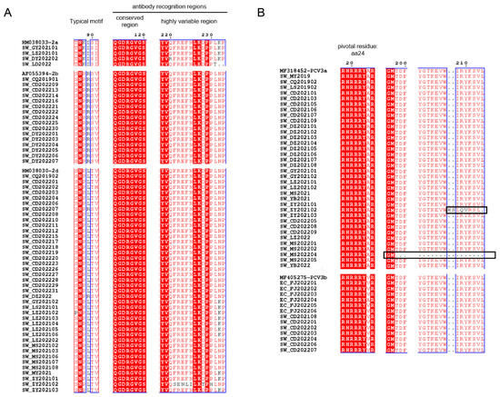 Phylogenetic Analysis and Serological Investigation of Porcine ...