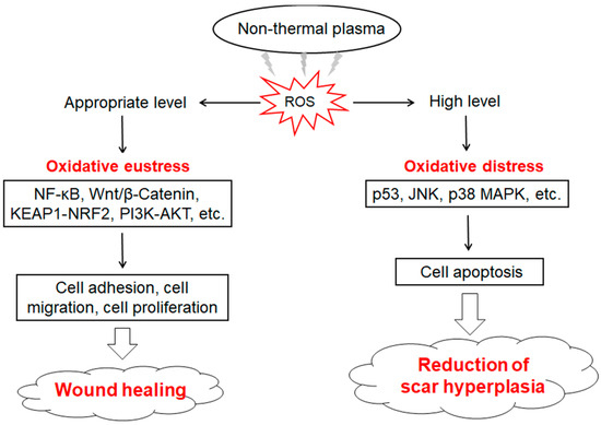 Effects and Mechanisms of Non-Thermal Plasma-Mediated ROS and Its ...