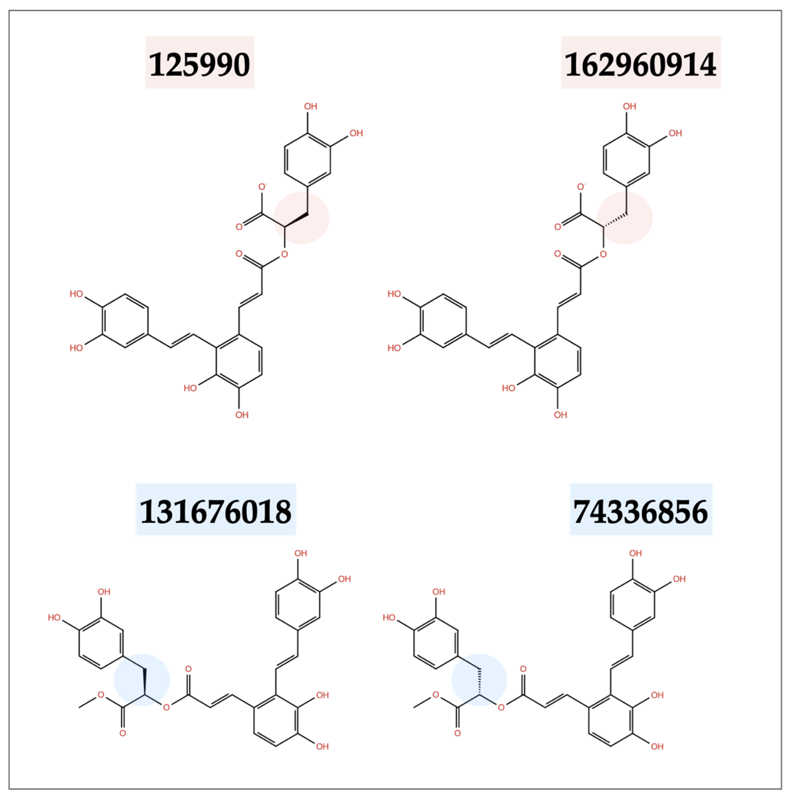 Exploring the Binding Effects of Natural Products and Antihypertensive ...