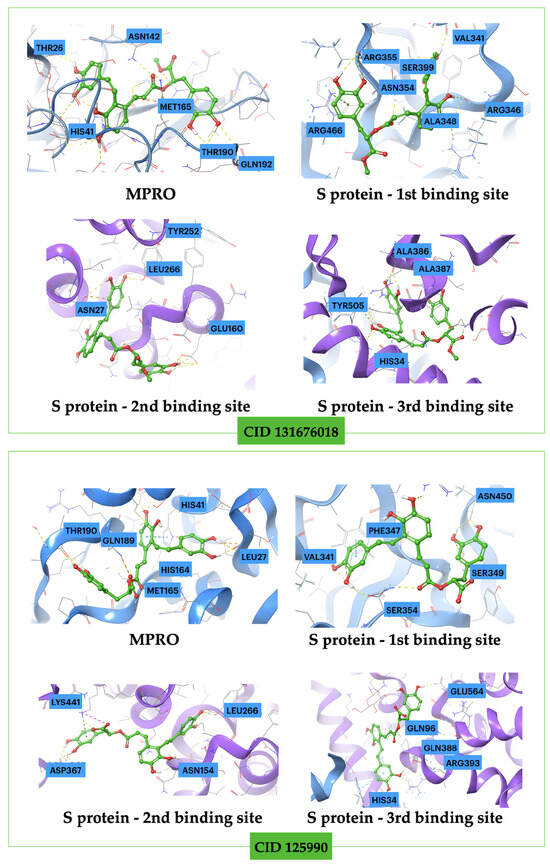 Exploring the Binding Effects of Natural Products and Antihypertensive ...