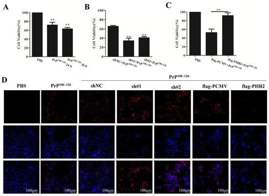 PHB2 Alleviates Neurotoxicity of Prion Peptide PrP106–126 via PINK1 ...