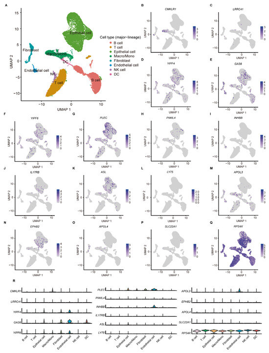 An Activated Dendritic-Cell-Related Gene Signature Indicative of ...